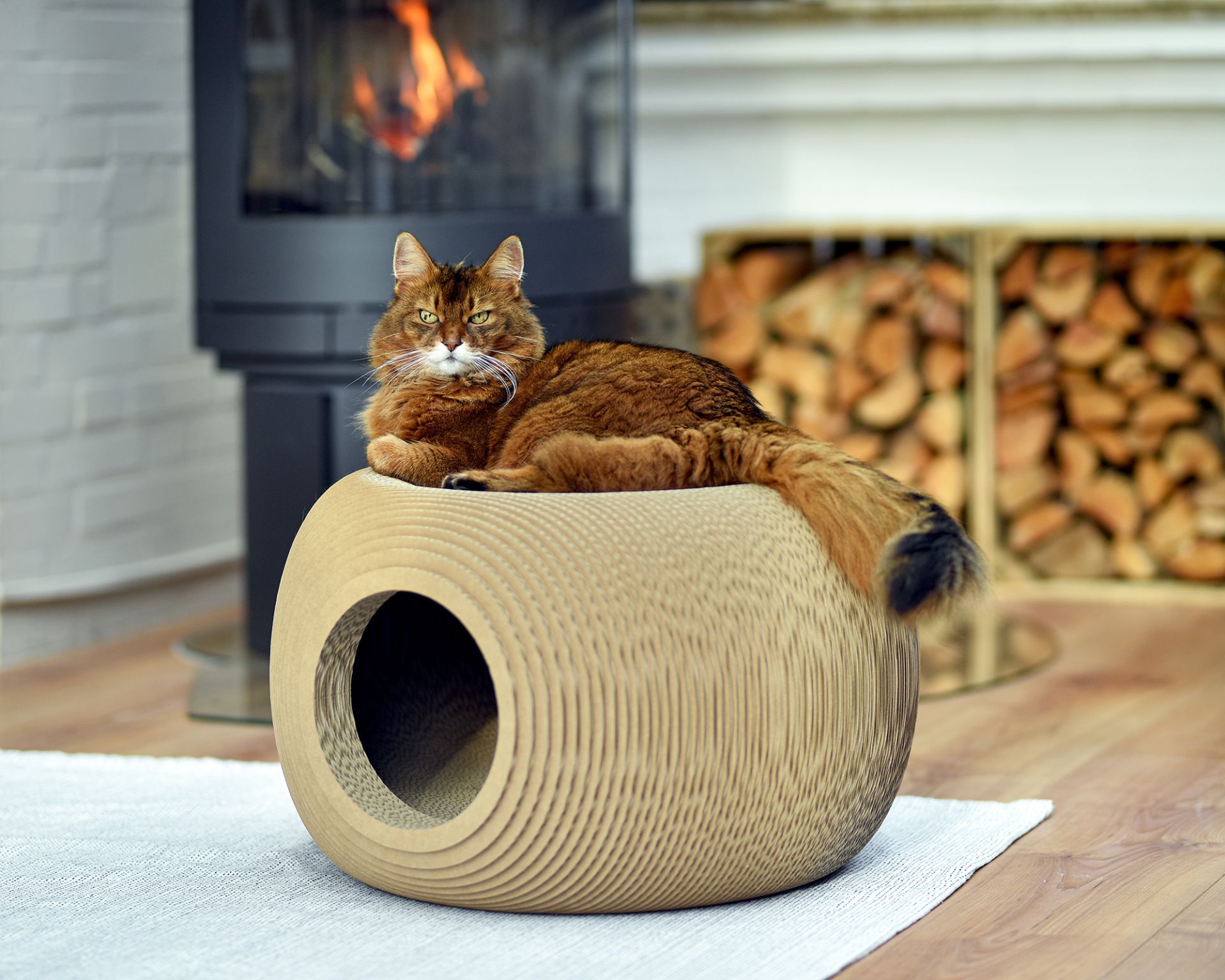 BILLE Cat Pod – sustainable round cat furniture made in Berlin
