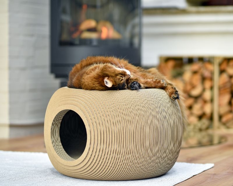 BILLE Cat Pod – sustainable round cat furniture made in Berlin
