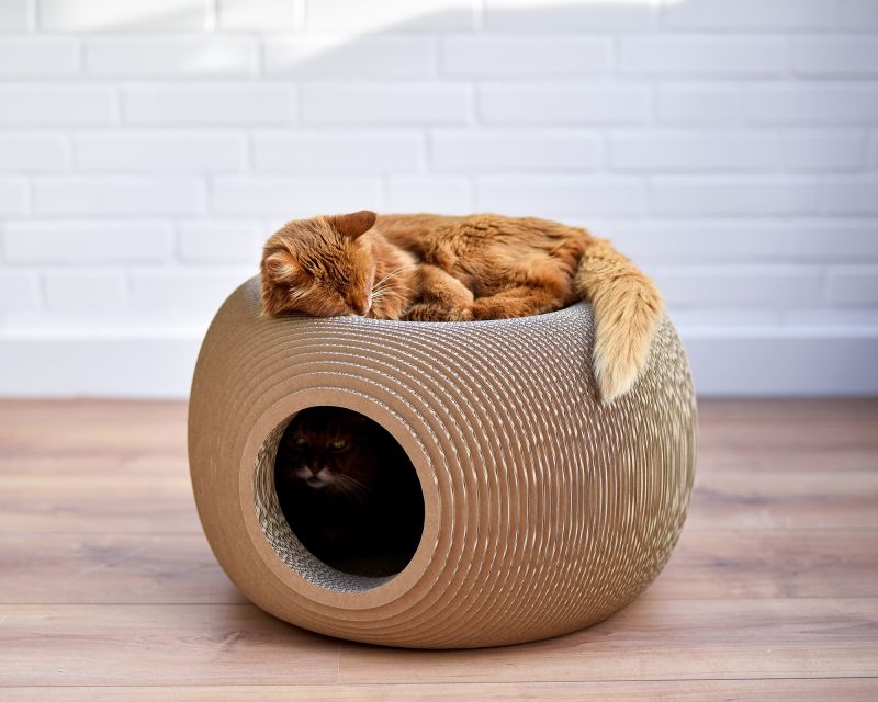 BILLE Cat Basket with Cat Cave – Sustainable Design | cat-on